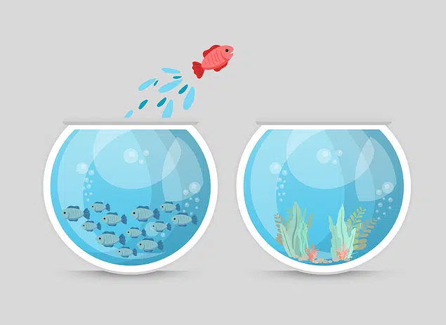 Konvergiert vs. Einheitlich: Was ist der Unterschied? - All About Security